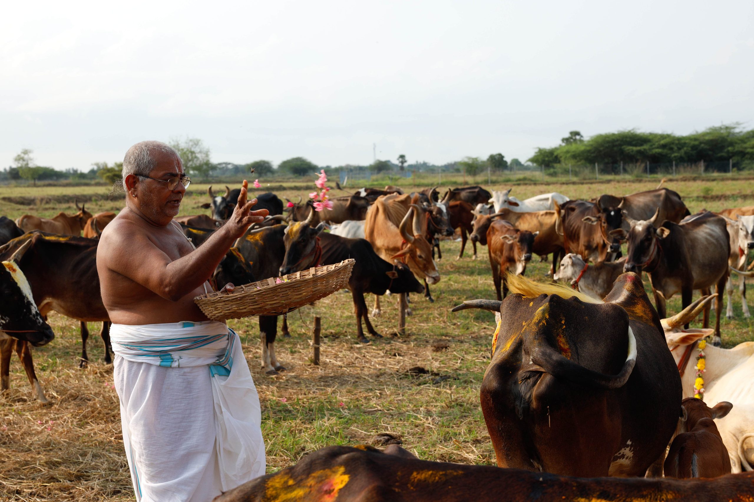 Home - Anudinam Goshala